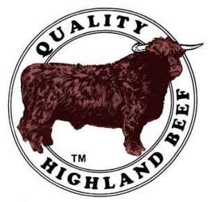 Highland Cattle – More Than a Pretty Face…